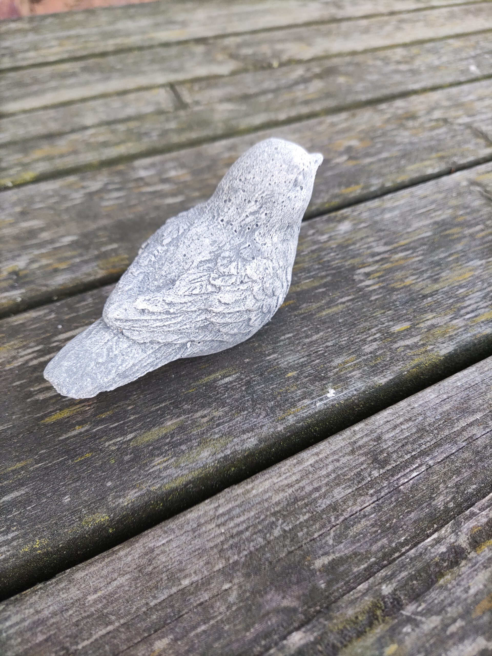 Vogel - Mini - Zorgboerderij Erve Wessels