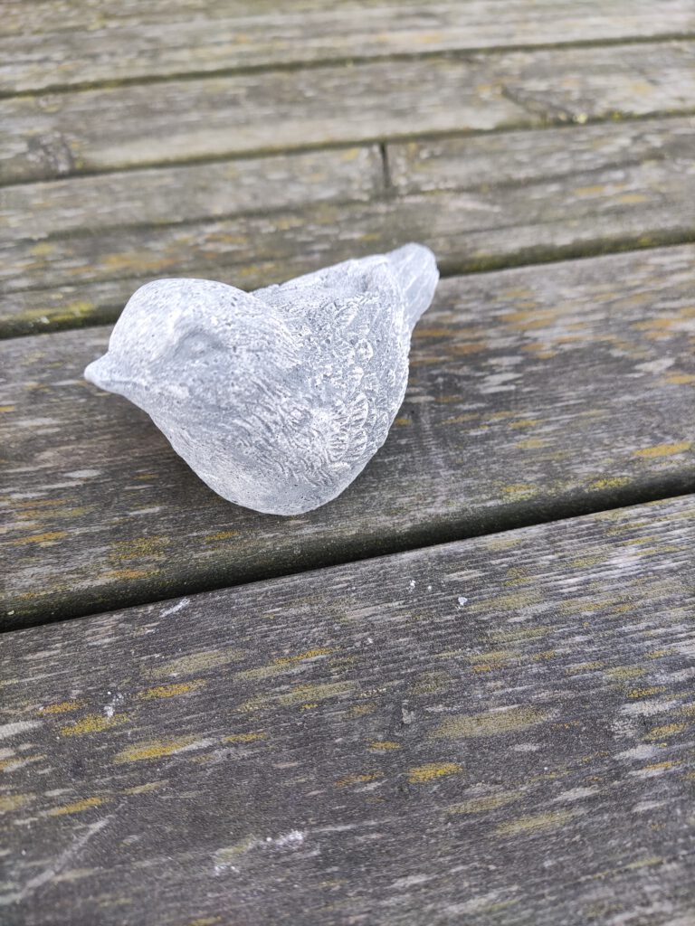 Vogel - Mini - Zorgboerderij Erve Wessels