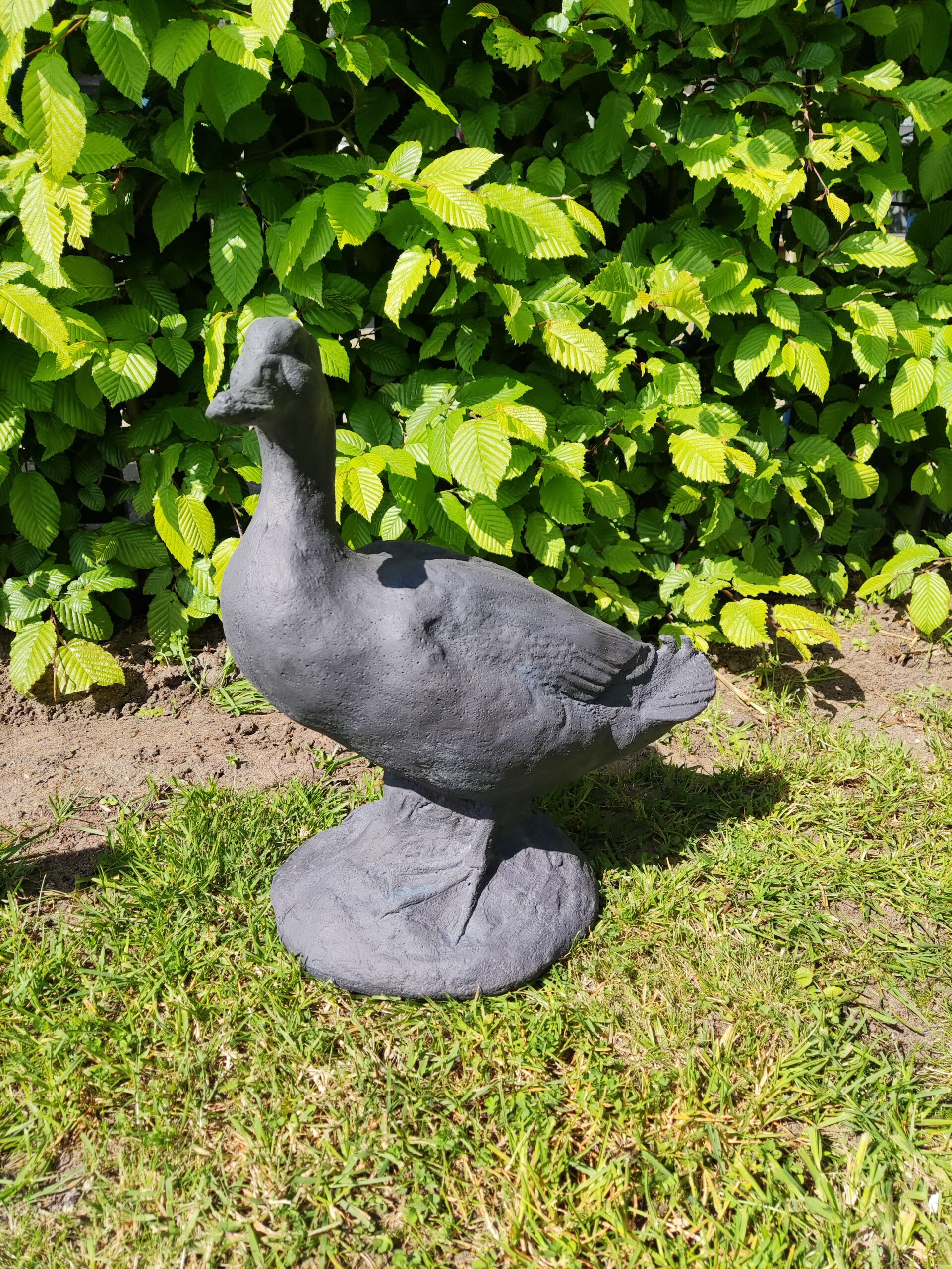 Eend - Zorgboerderij Erve Wessels